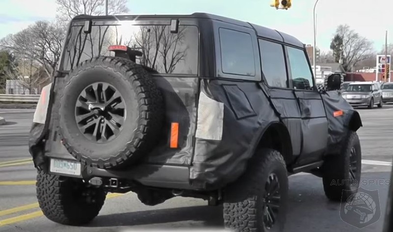 WATCH: 2022 Ford Bronco Warthog Caught Hunting For Prey In The Wild ...