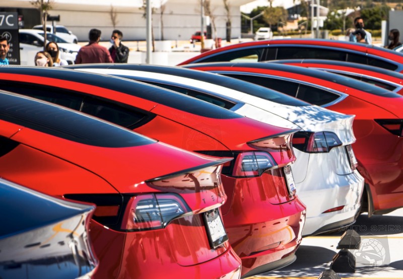 Potential Mexican Gigafactory Sites Struggle To Meet Infrastructure ...