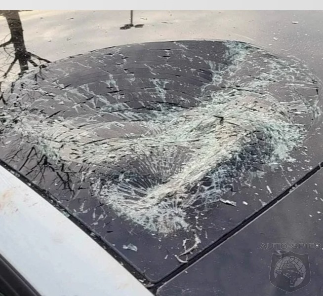WATCH: Tesla's Super Strong Glass Roof Proves No Match For Bird Strike ...