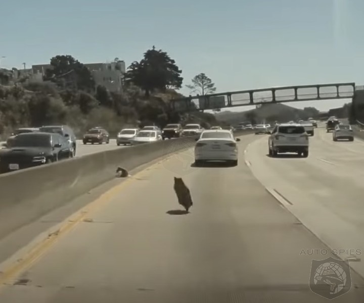 Dashcam Footage Shows Tesla Cybertruck Seemingly Falling Apart On The ...