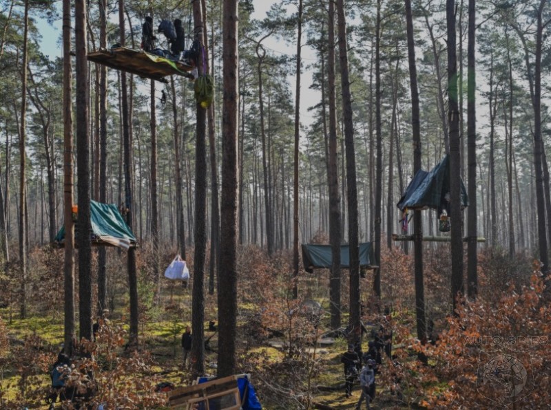 German Activist Group Plans To Build More Treehouses In Surrounding ...
