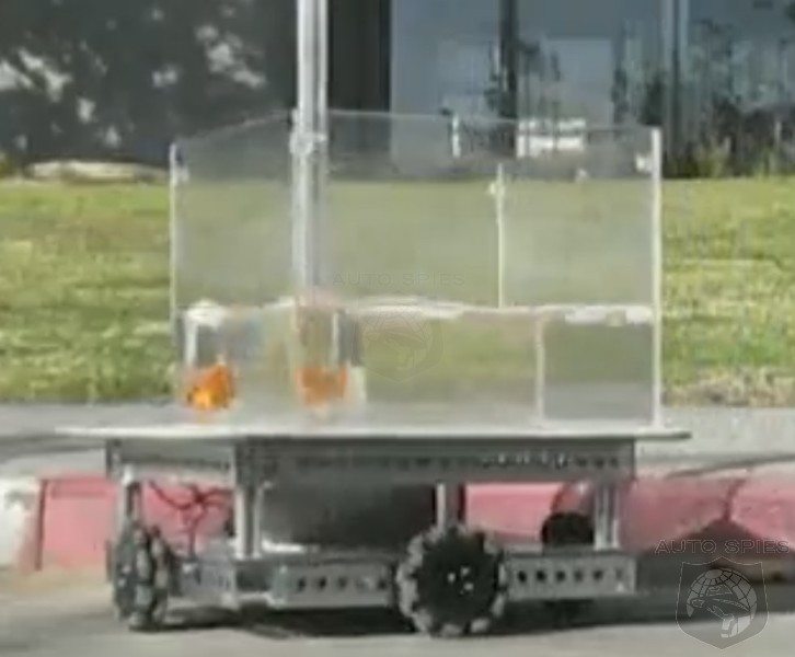 WATCH: Scientists Teach Goldfish How To Drive Tiny Car - But You STILL ...