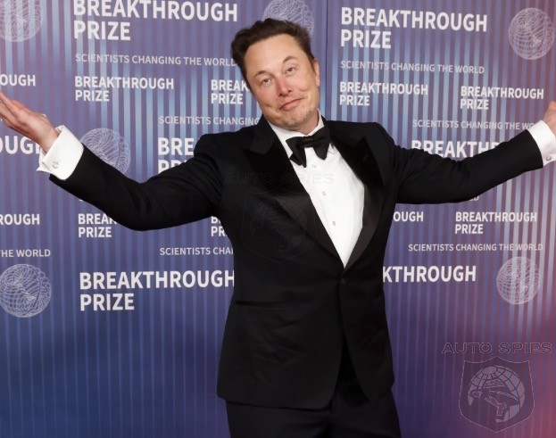 With Half The World Hating Telsa How Can Elon Musk Reverse The Damage ...