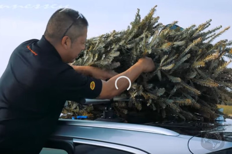 WATCH: In A Hurry? Hennessey Straps A Christmas Tree On A Tuned Audi ...