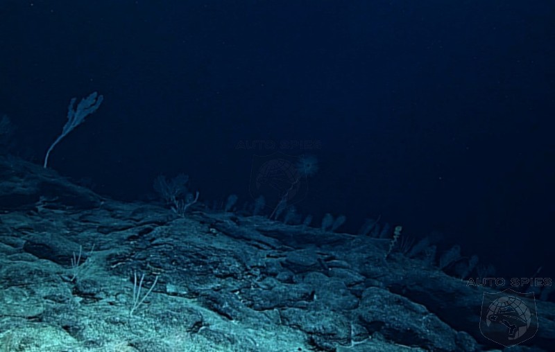 What Could Go Wrong? Unregulated Deep Sea Mining To Begin Searching The ...