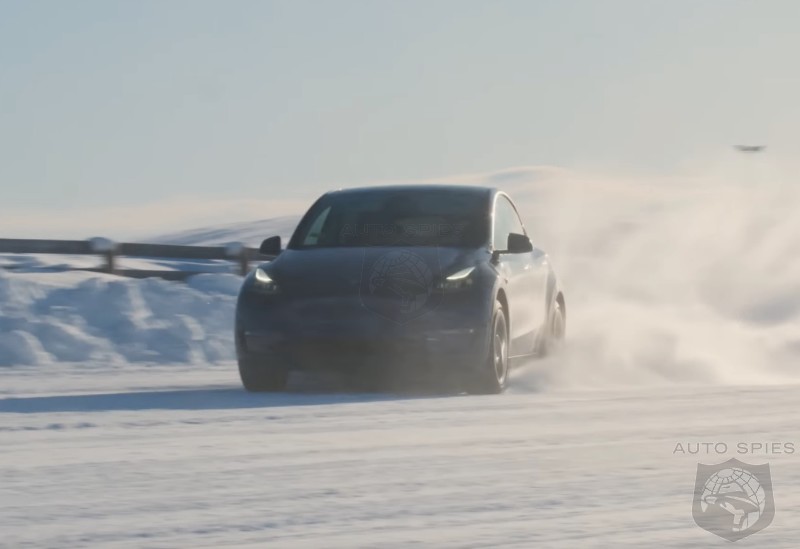 WATCH: Tesla Takes On New Zealand For Extreme Winter Testing ...